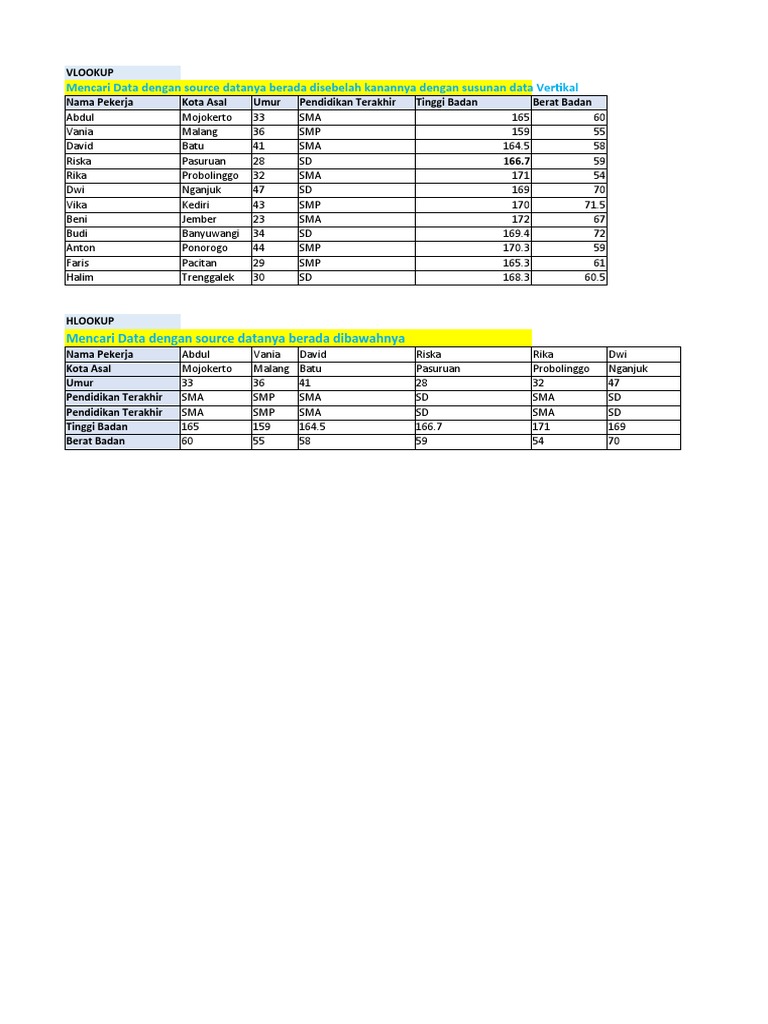 Excel Basic + Advanced | PDF