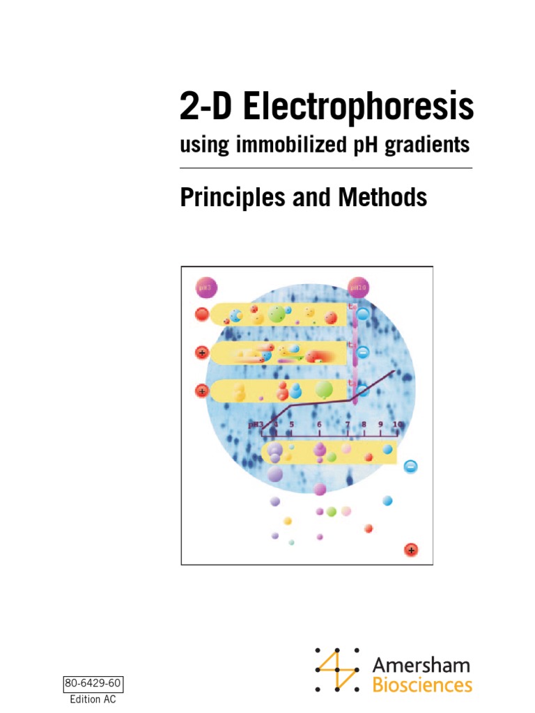 2D Electrophoresis | Gel Electrophoresis | Polyacrylamide Gel ...