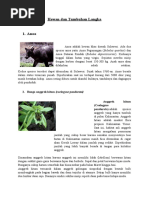 Burung Botak Upeh | PDF | Griya & Taman | Sains & Matematika