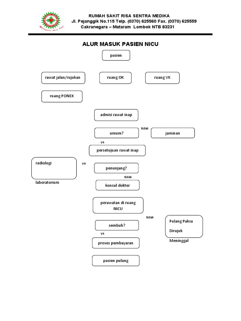 Alur Pasien Nicu | PDF