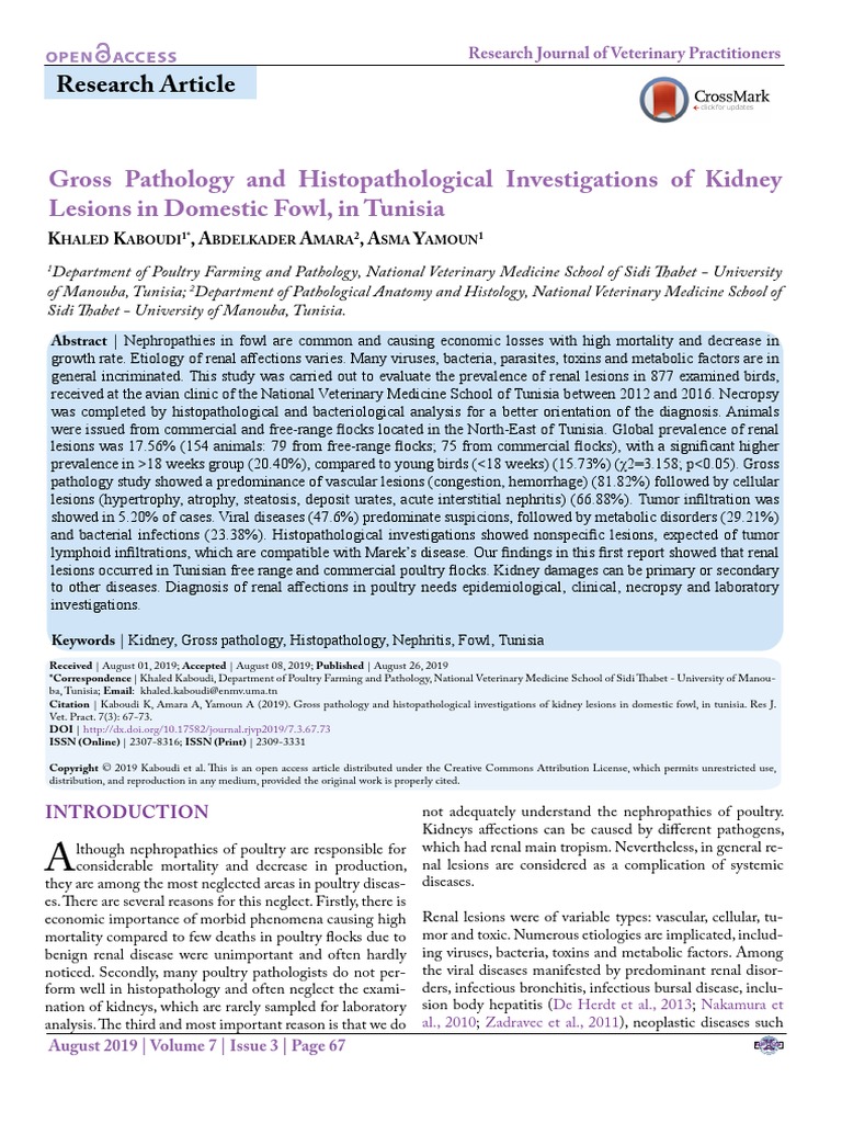 Gross Pathology and Histopathological Investigations of Kidney | PDF ...