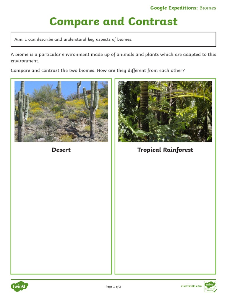 Desert vs Tropical Rainforest Comparison | PDF | Science & Mathematics