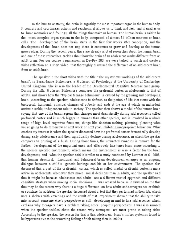 Physical and Cognitive Development | PDF | Adolescence | Brain