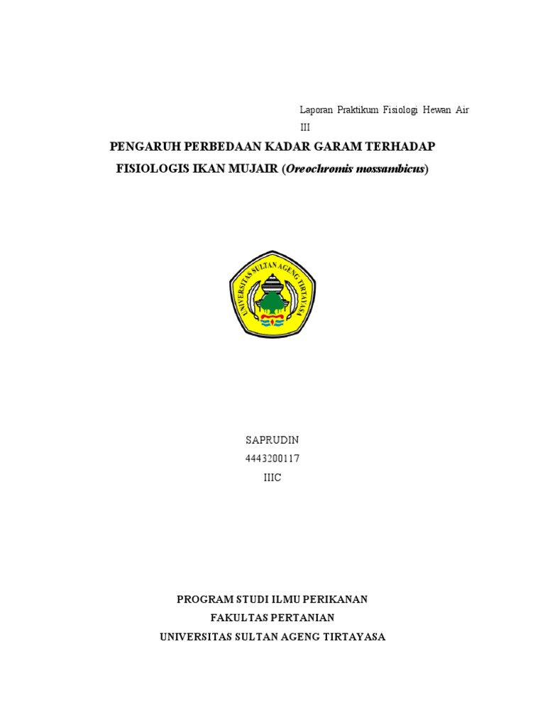 Saprudin - Kelompok 2 | PDF