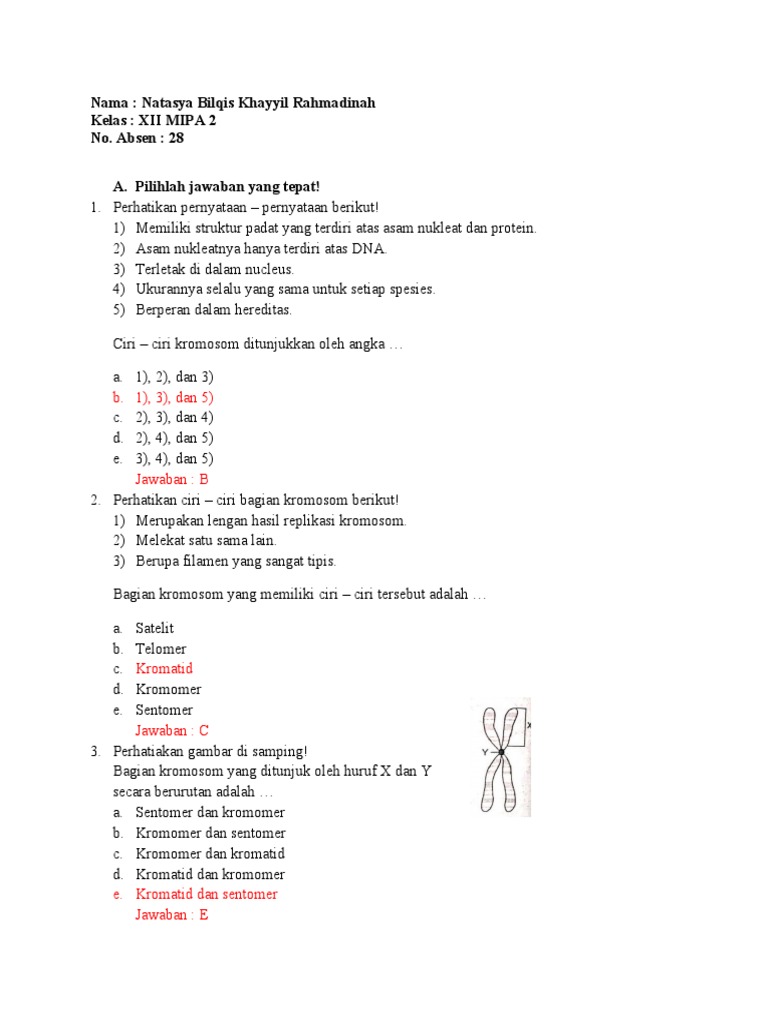 Soal Substansi Materi Genetik | PDF