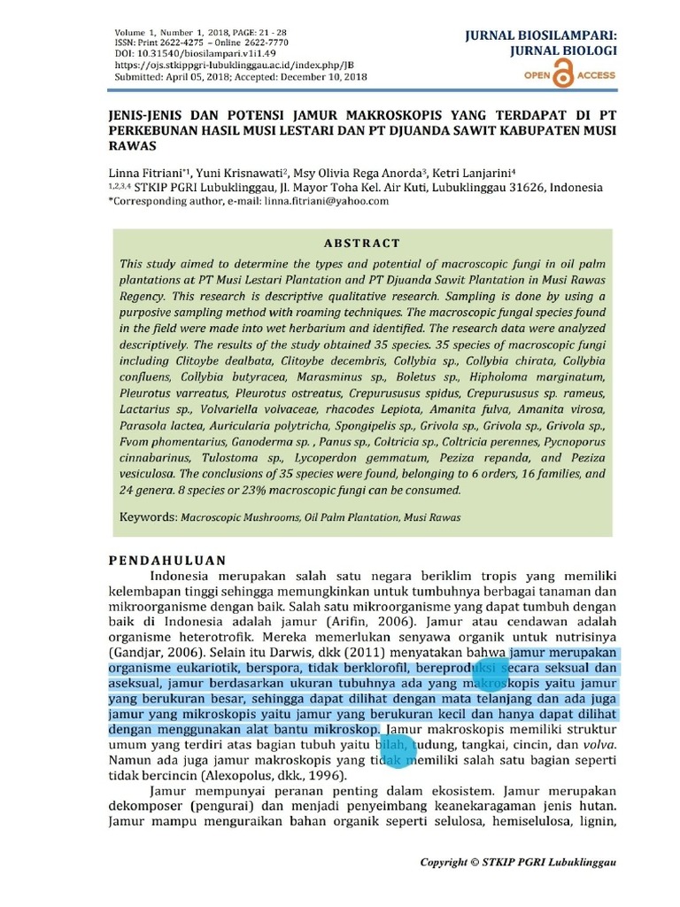 Jurnal | PDF