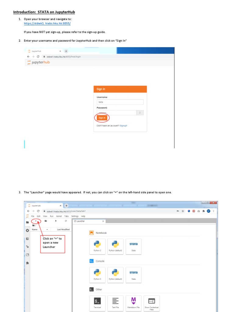 Introduction To Stata On Jupyterhub Pdf Command Line Interface Computer File