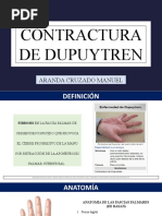 Mano en Garra: Causas y Tratamientos | PDF | Mano | Nervio