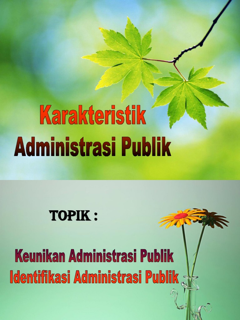 Keunikan Administrasi Publik (Caiden, 1982) | PDF