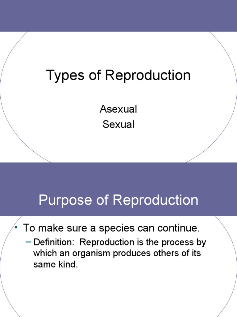 Types of Reproduction: Asexual Sexual | PDF