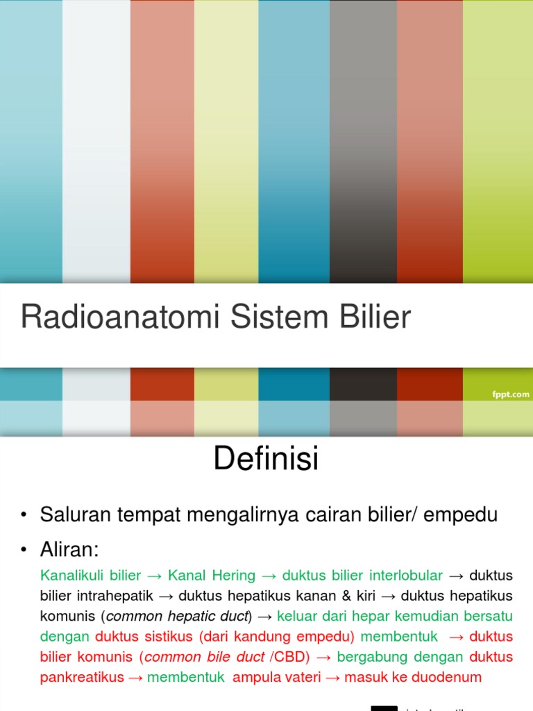 Sistem Bilier | PDF