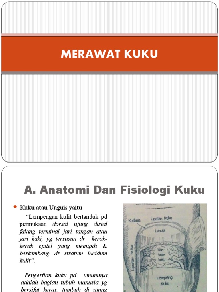 KUKU | PDF
