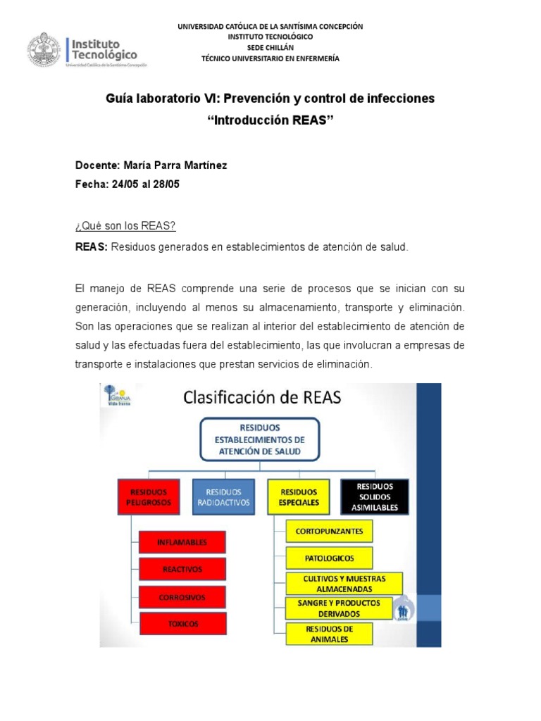 Guía Laboratorio Vi Introducción Reas | PDF