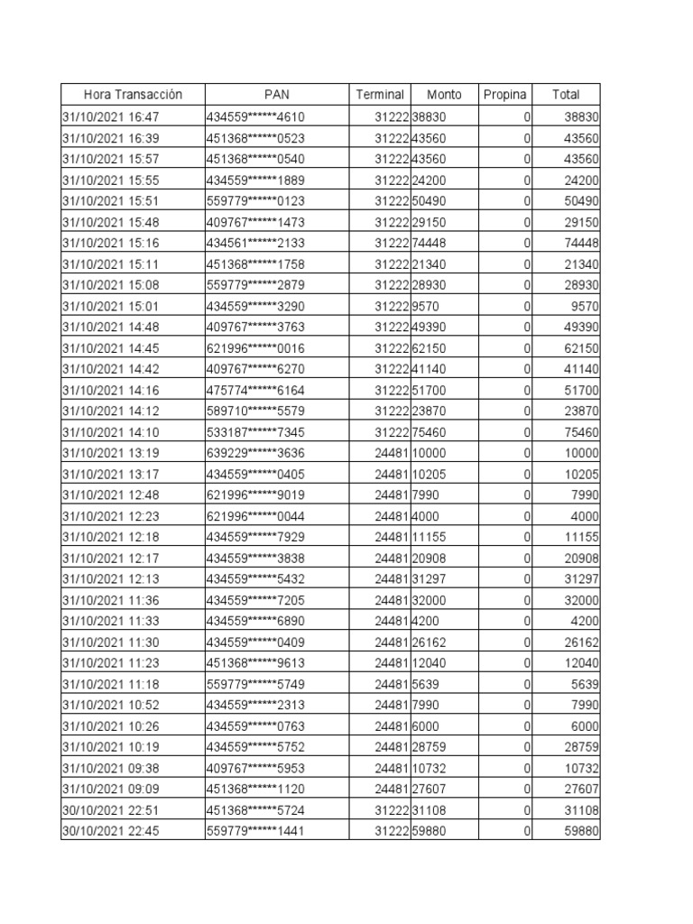 Daily transaction log listing card details, terminal, amounts and ...