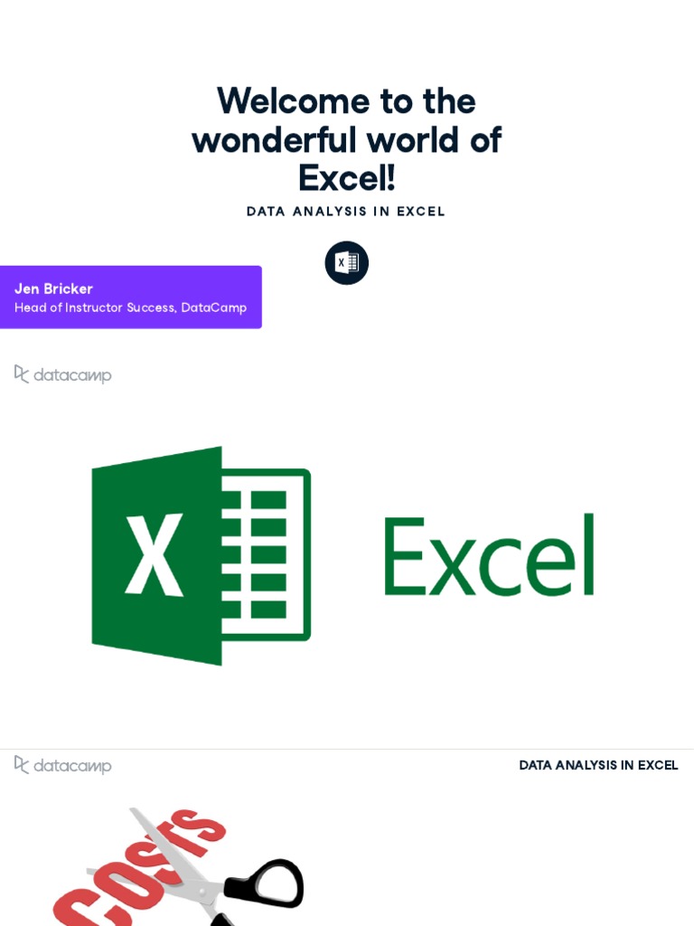 Data Analysis in Excel Chapter1 | PDF | Microsoft Excel | Boolean Data Type