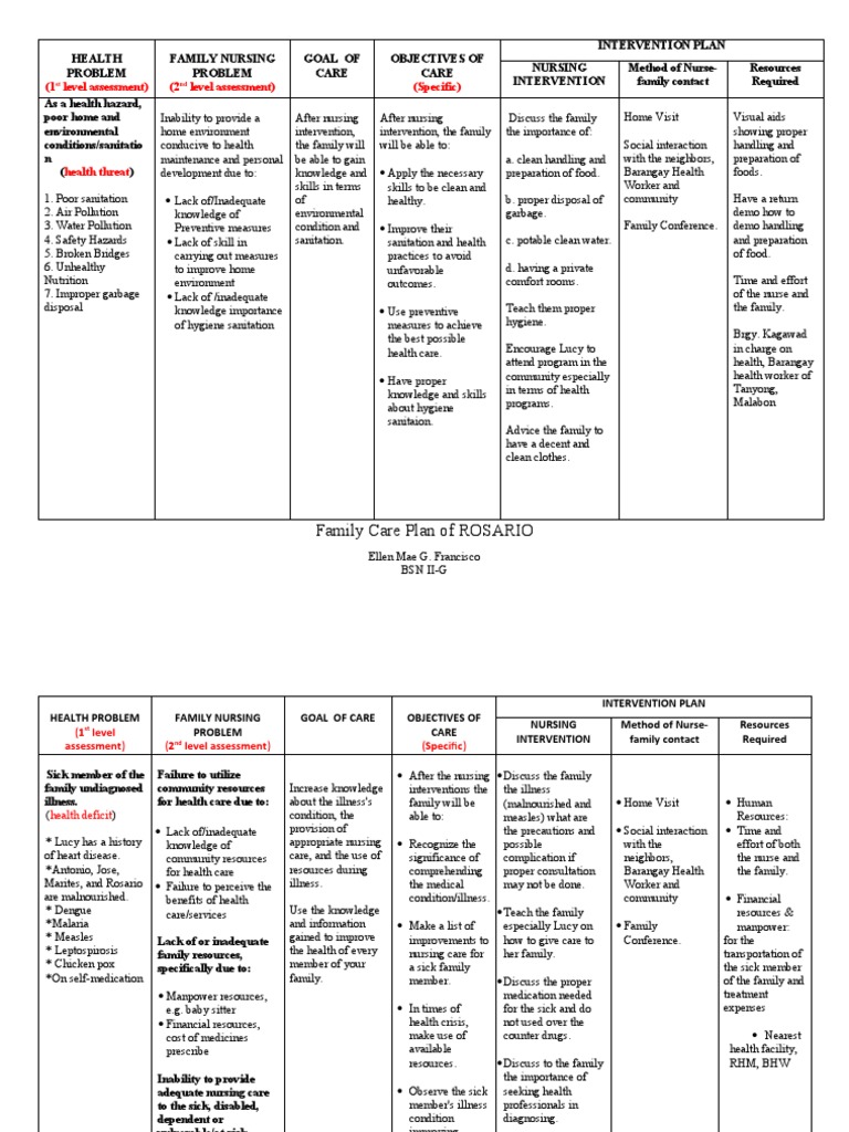 Family Care Plan of ROSARIO: (1 Level Assessment) (2 Level Assessment ...