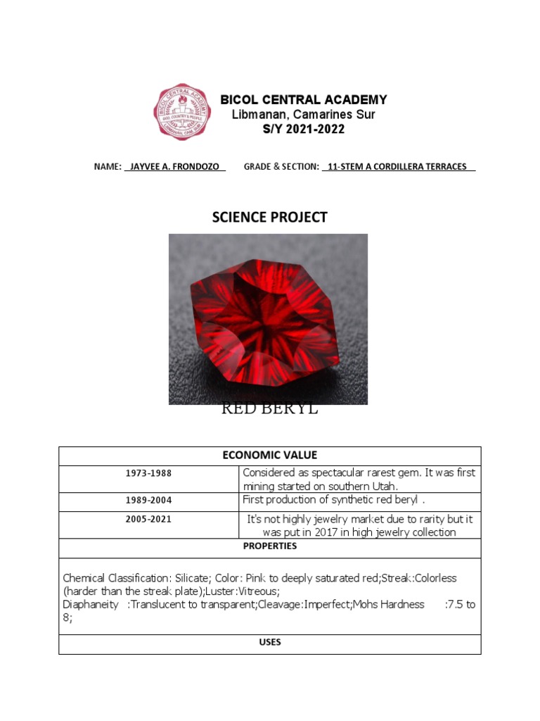 Science Project Format | PDF