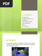 Clasificación de Ligasas en Bioquímica | PDF | Biomoléculas | Biología ...