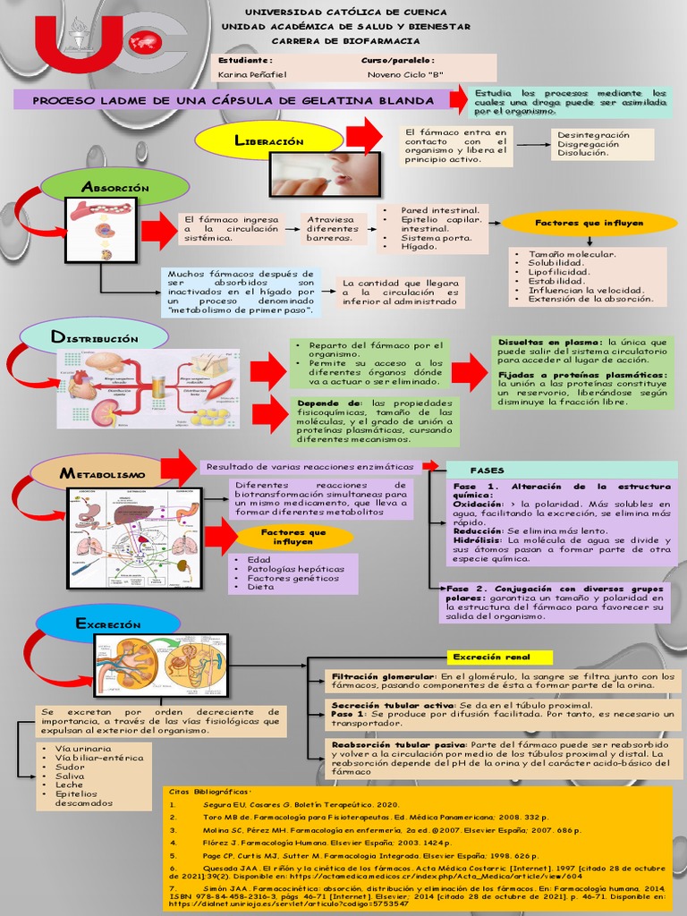 Ladme Final | PDF | Medicamentos con receta | Ciencias fisicas