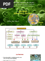 Mapa Conceptual de Bacterias | PDF | Las bacterias | Citoplasma
