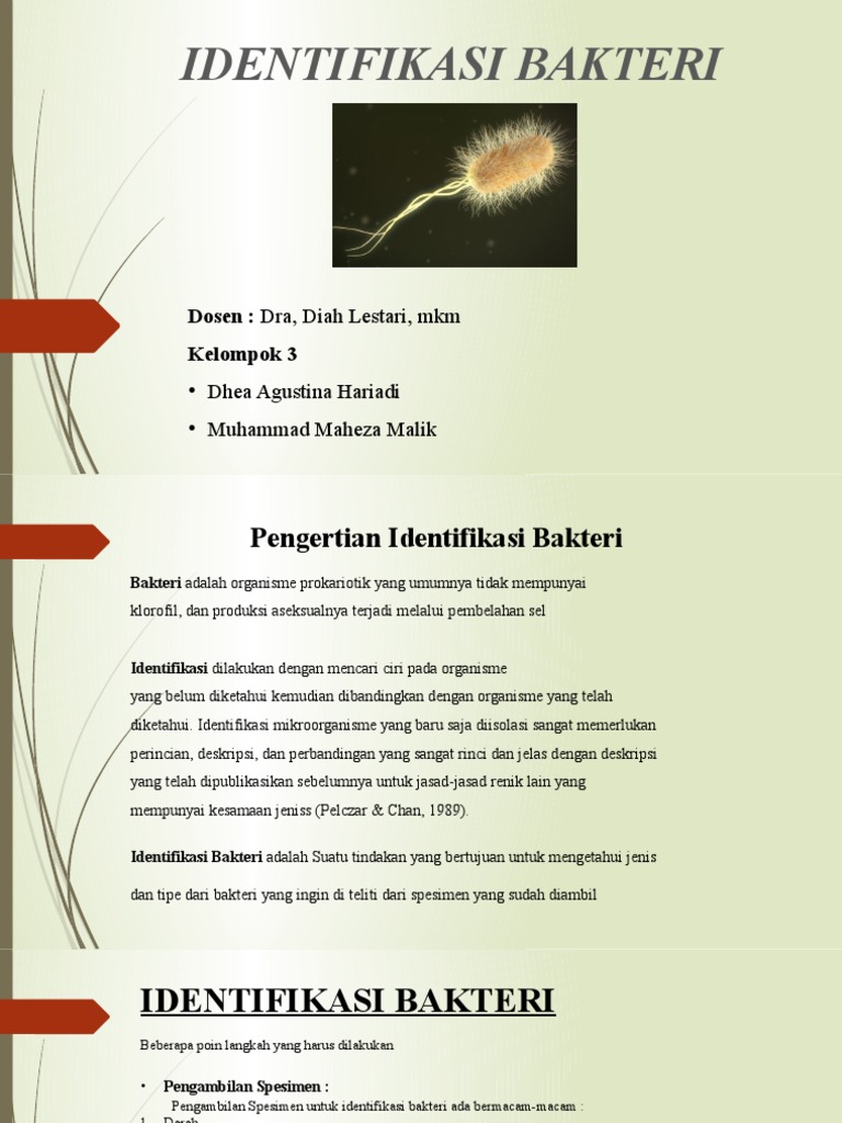 Identifikasi Bakteri dari Pus Luka | PDF | Pengembangan Diri
