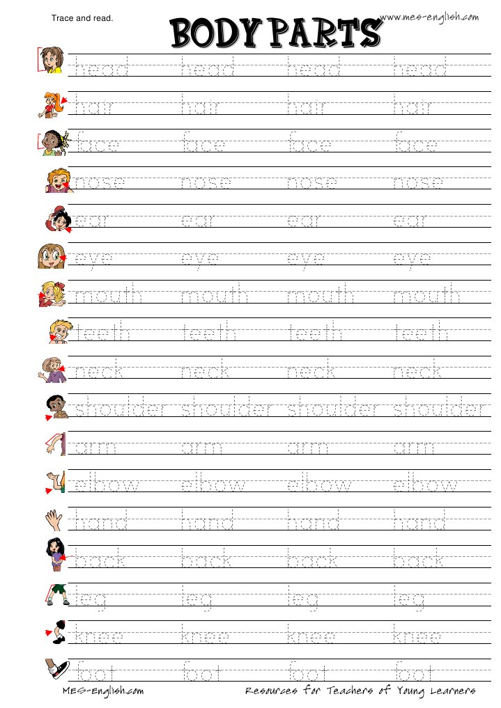 Body Parts Spelling Guide | PDF | Language Arts & Discipline | Wellness