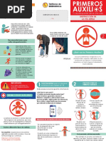 Primeros Auxilios Triptico | PDF | Primeros auxilios | Enfermedades y trastornos humanos