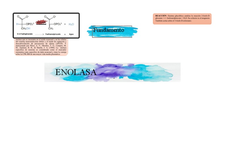 Enzima Enolasa Neuroenzimatica | PDF