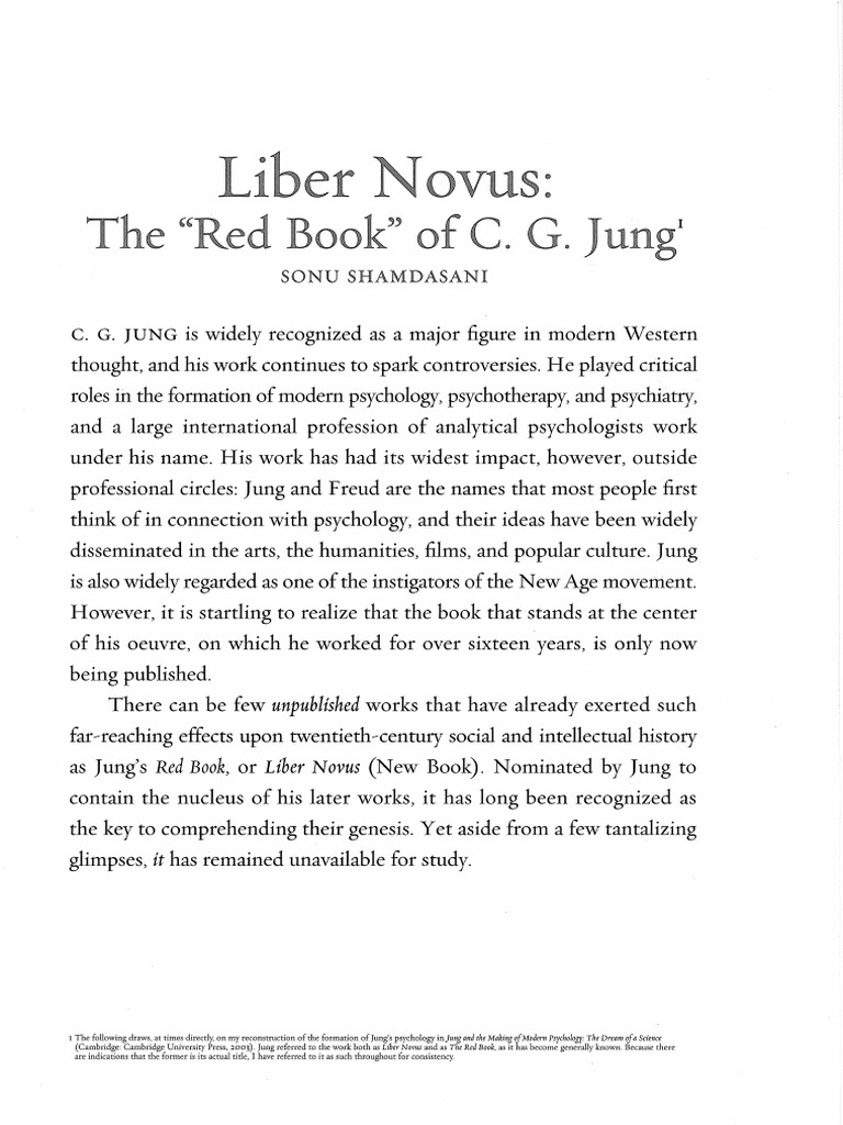 Carl Gustav Jung The Red Book Liber Novu | PDF | Carl Jung | Analytical ...