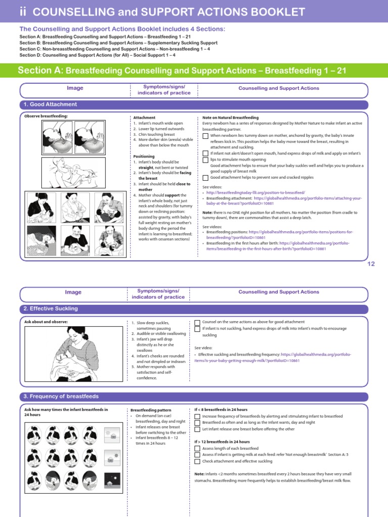 Section A:: Breastfeeding Counselling and Support Actions ...