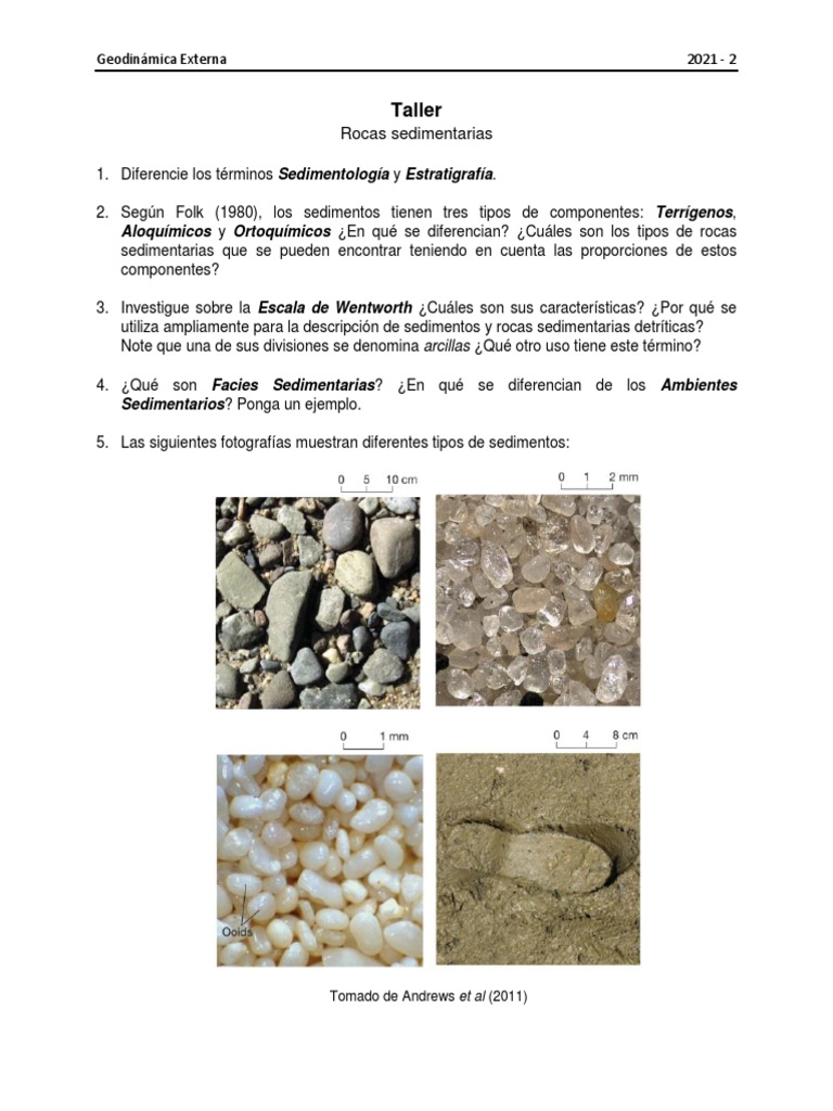 TALLER 1. Rocas Sedimentarias | PDF