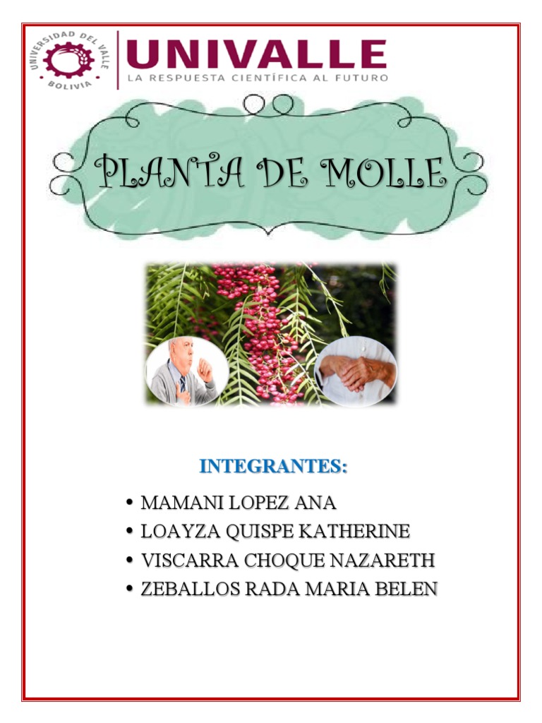 Planta de Molle | PDF