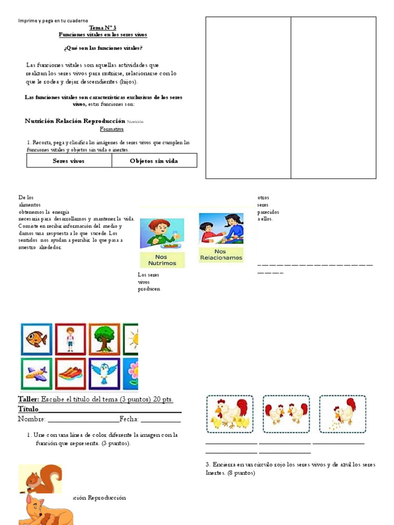 Funciones Vitales en Seres Vivos | PDF