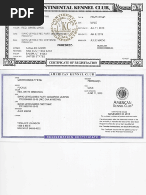 Can You Register A Akc Dog With Ckc