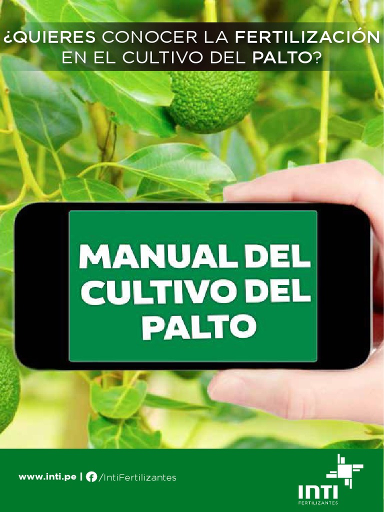Manejo de Cultivo Del Palto Inti | PDF | Fertilizante | Suelo