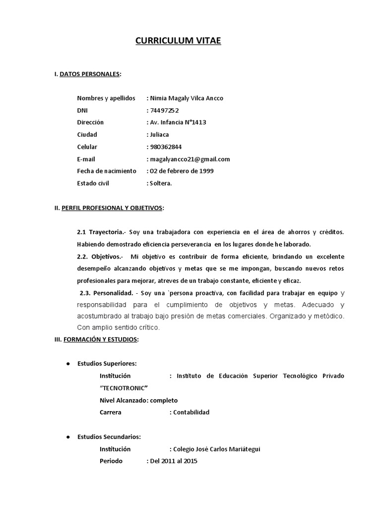 CV No Documentado | PDF | Crecimiento personal y profesional | Negocios