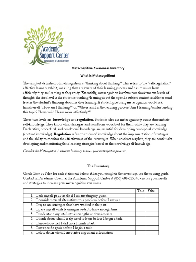 Metacognitive Awareness Inventory Guide | PDF | Metacognition | Learning
