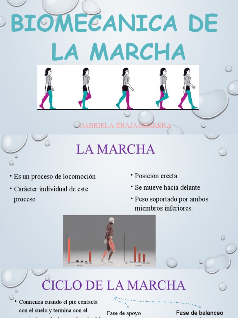 Biomecanica De La Marcha La Marcha Humana (cinesiología Dinamica,