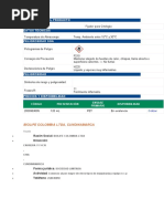 Formato FOREIA001 para Reporte de Incidentes | PDF | Seguridad del ...
