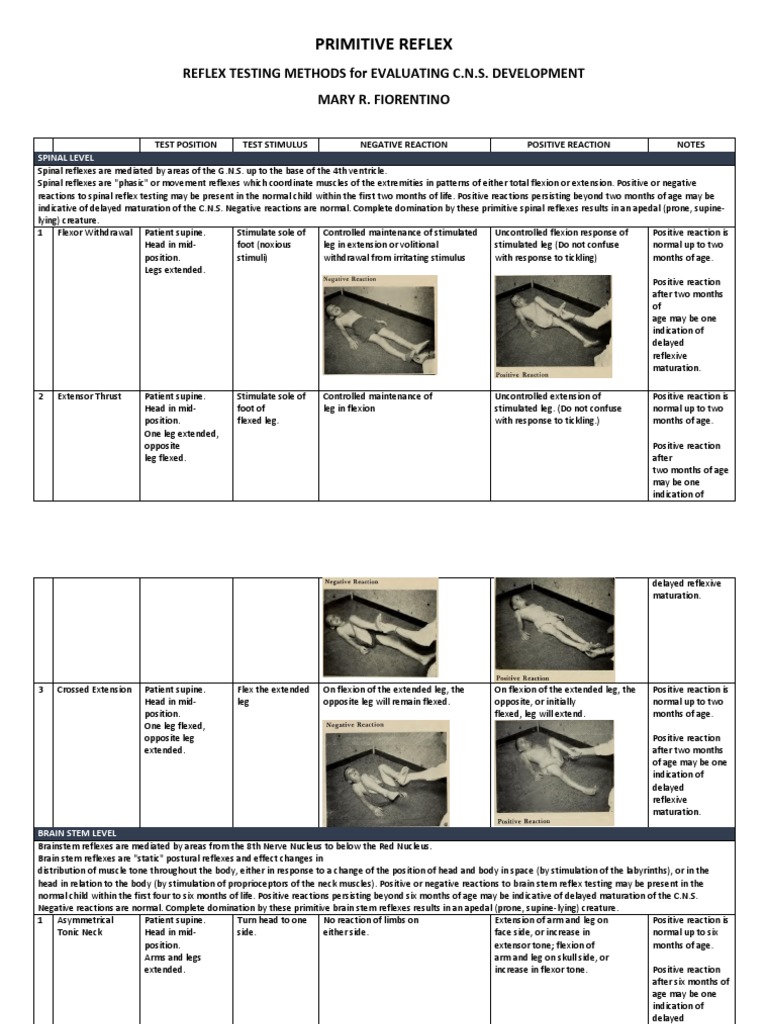 PRIMITIVE REFLEX TESTING | PDF | Anatomical Terms Of Motion | Foot