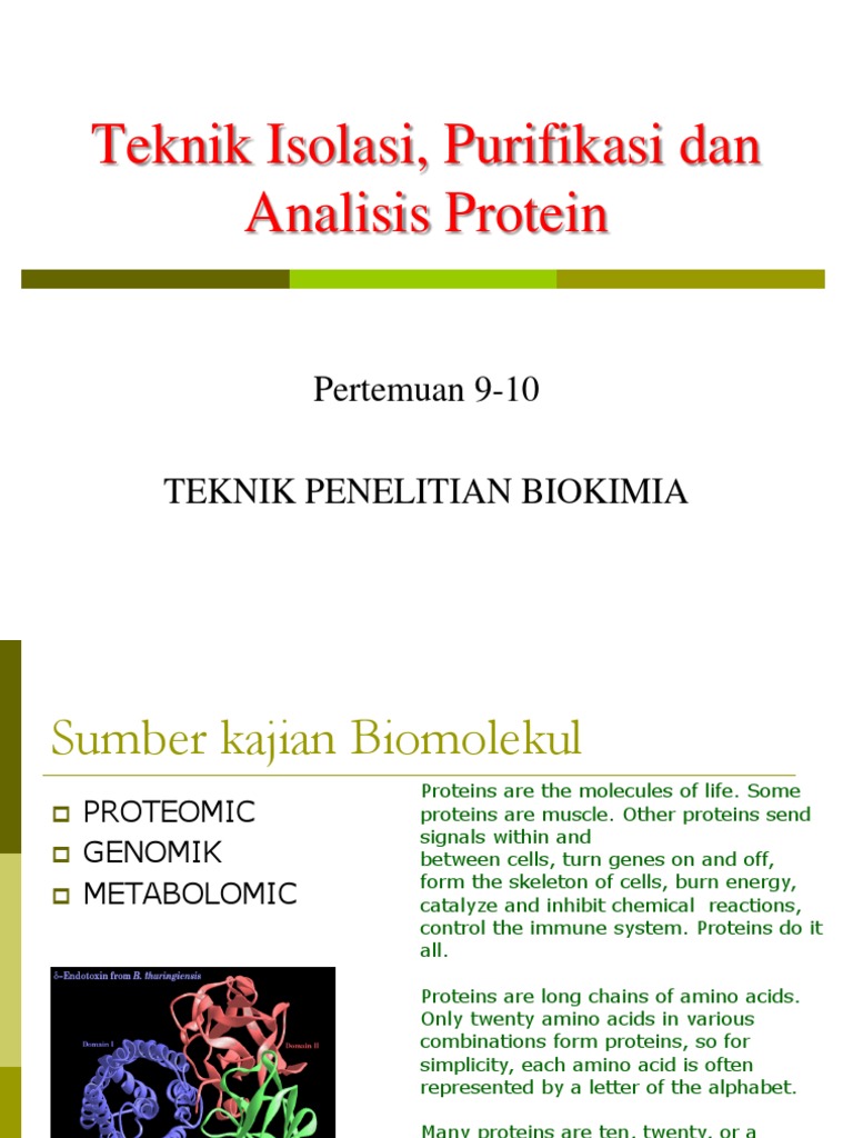 Pemisahan Dan Analisis Protein | PDF | Proteomics | Chromatography