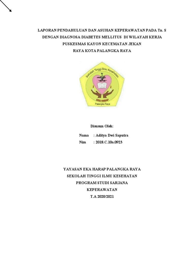 LP Aditya Dwi Saputra Gerontik | PDF