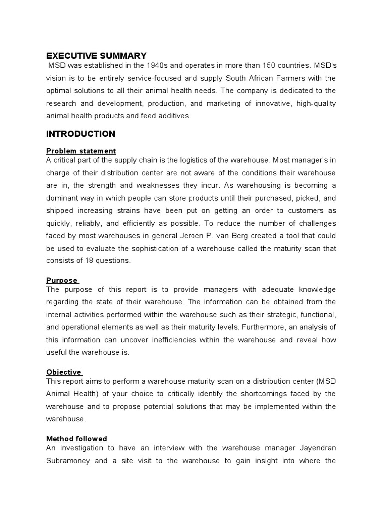 Executive Summary: Problem Statement | PDF | Warehouse | Pallet