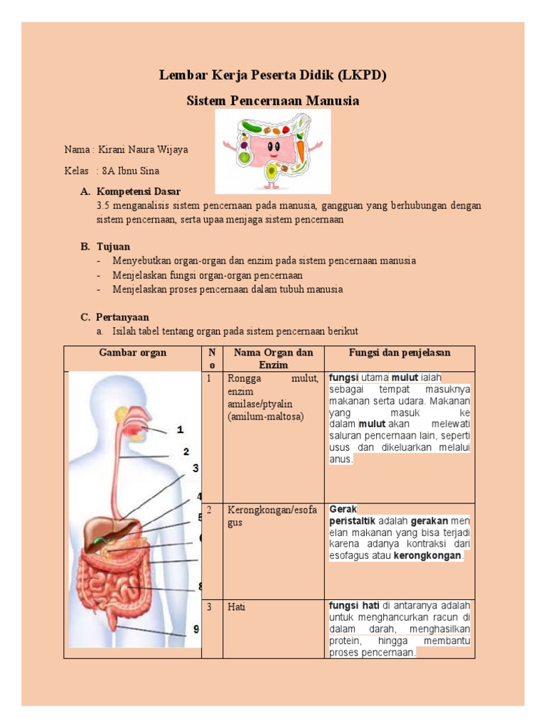 LKPD Pencernaan | PDF