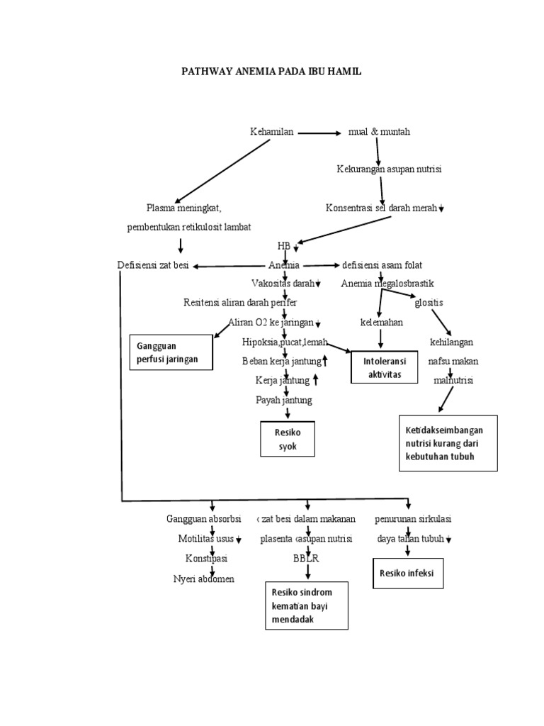 Pathway Anemia pada Ibu Hamil | PDF | Kesehatan Holistik