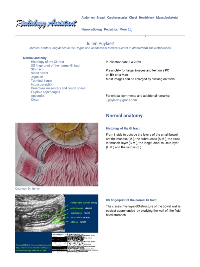 The Radiology Assistant - US of The GI Tract - Normal Anatomy | PDF ...