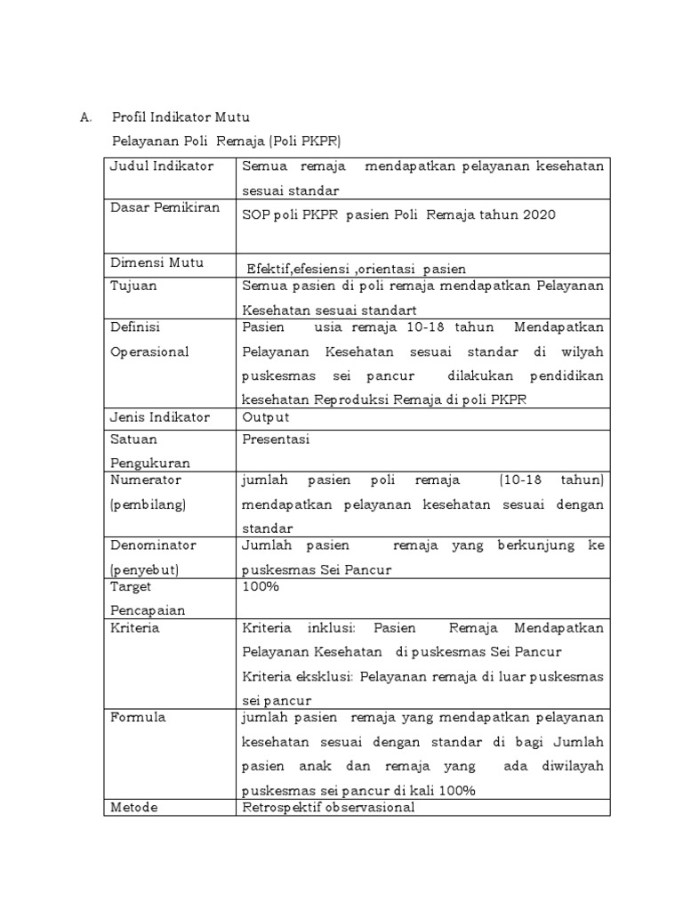 Profil Indikator Mutu Poli PKPR | PDF