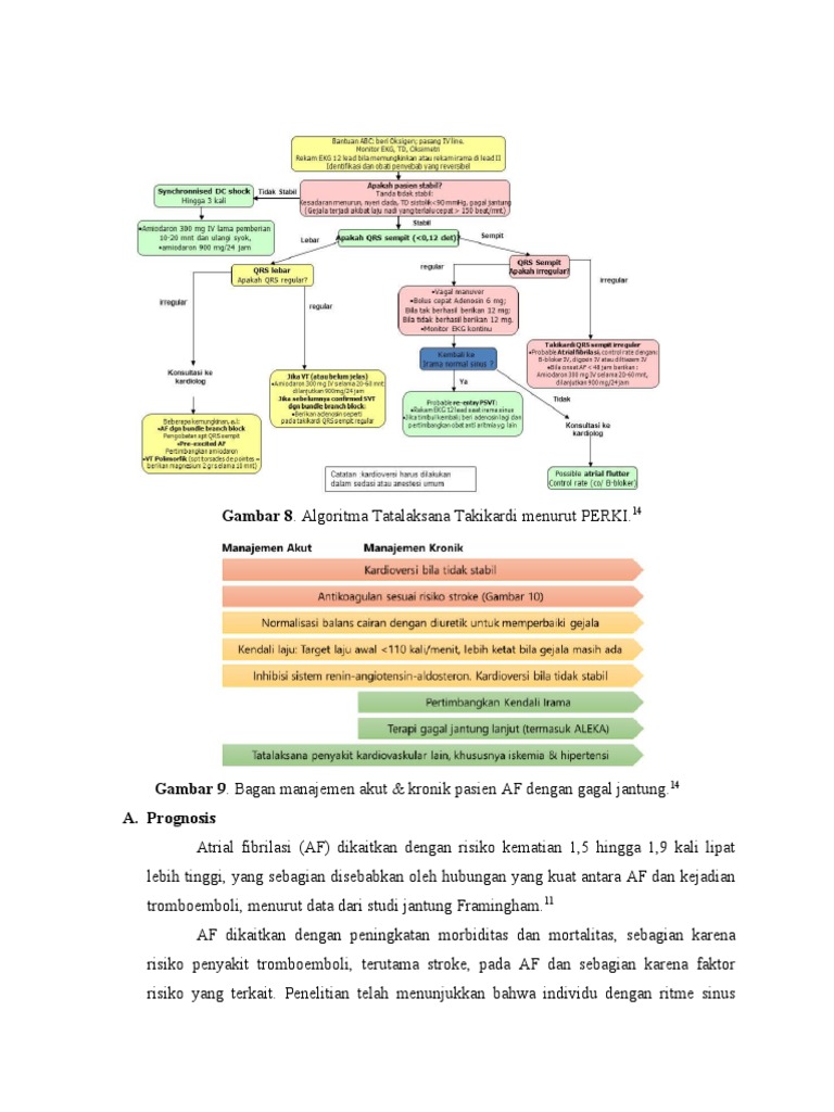 Gambar 8. Algoritma Tatalaksana Takikardi Menurut PERKI | PDF
