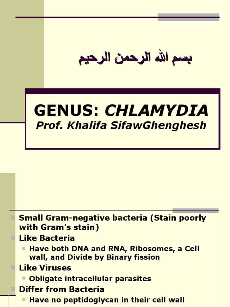 Penyebab dan Infeksi Klamidiasis | PDF | Medical Specialties | Microbiology