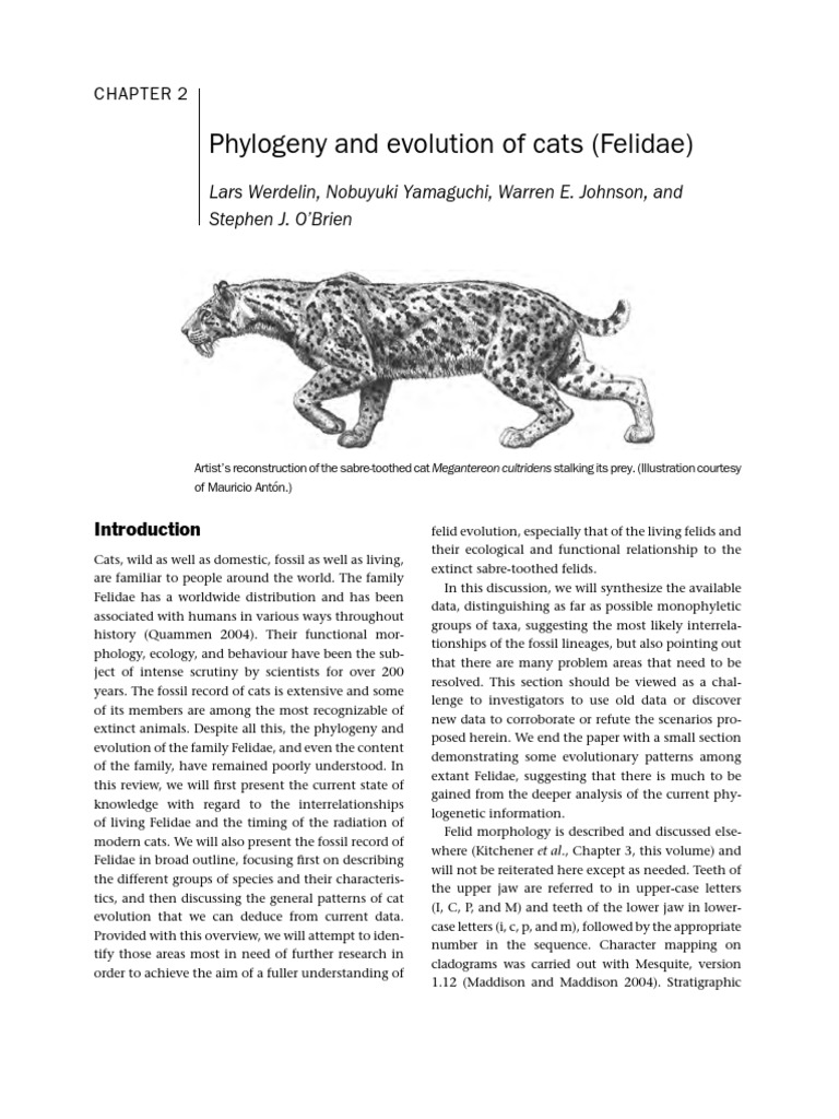 Phylogeny and Evolution of Cats (Felidae) | PDF | Felidae | Panthera